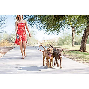 Wigzi Two Dog Retractable Non-Tangling Dog Leash with Innovative Gel Handle - Walk 2 Dogs Up to 50 lbs Each - 10 ft Leads, Small/Medium, Gray