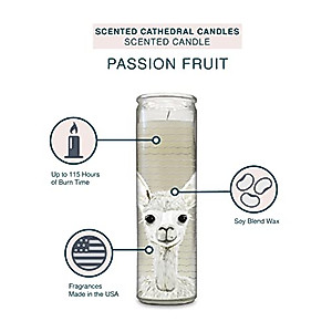 Scented Cathedral Candle by Studio Oh! - 13-Ounce Soy-Blend Wax Pillar Candle in Decorative Glass Container - Passion Fruit - Burns up to 115 Hours