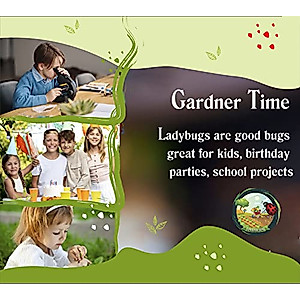 Gardner Time 150 Live Ladybugs - Good Bugs for Garden - Ladybugs - Guaranteed Live Delivery