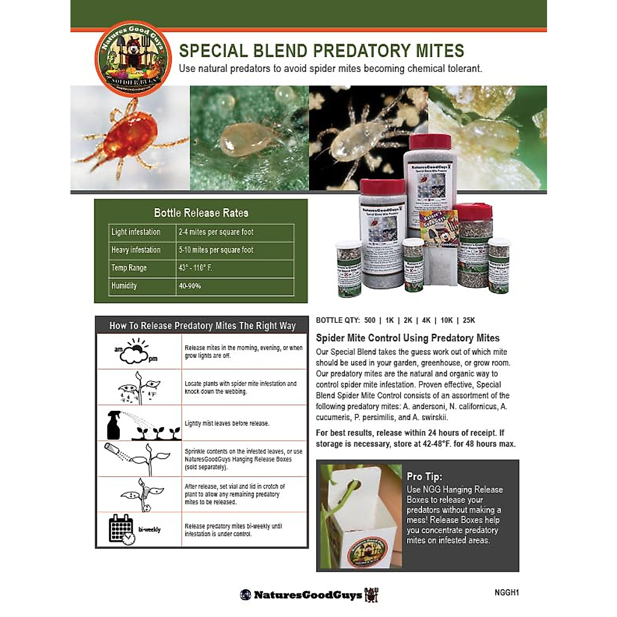 25,000 Predatory Mite Blend