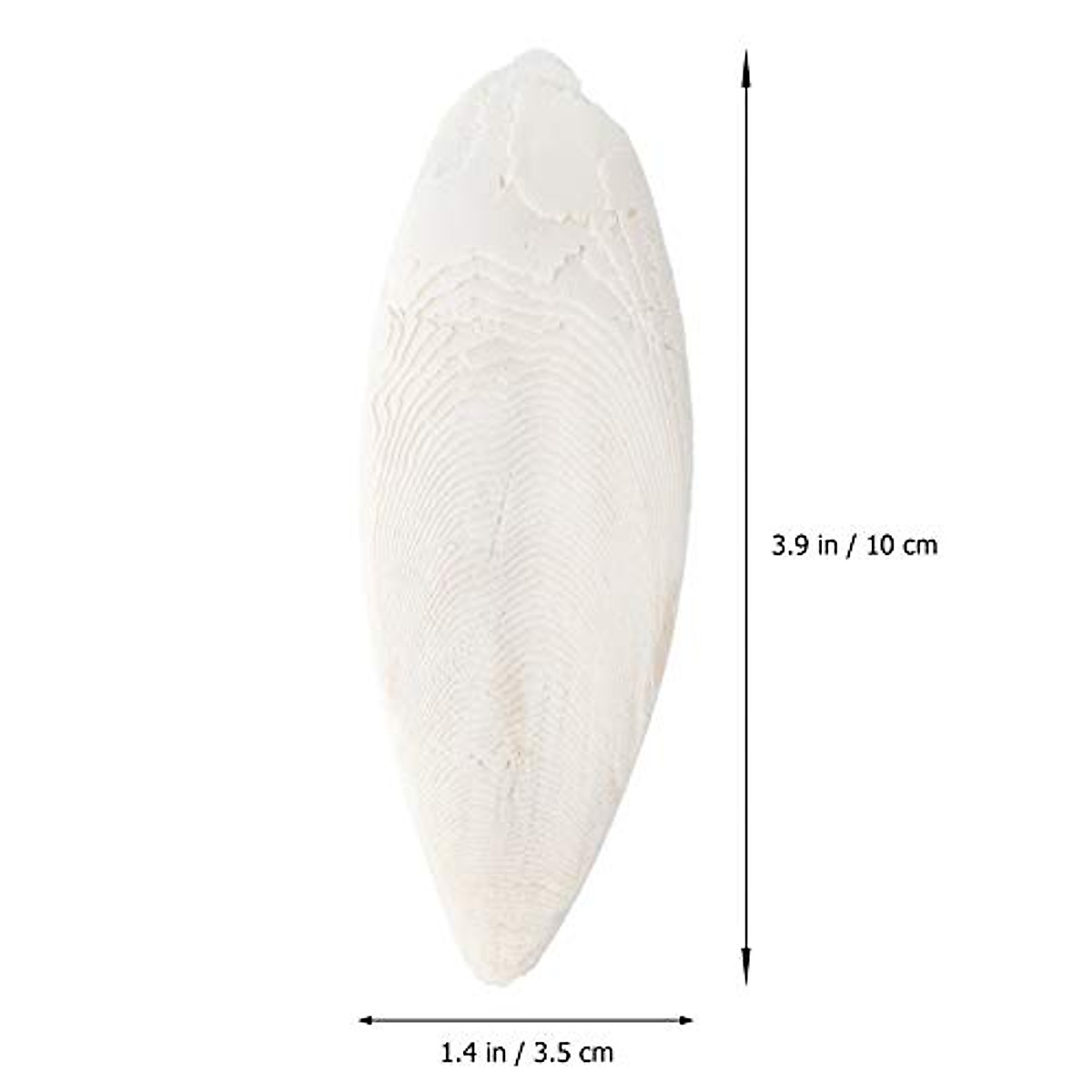 TEHAUX Bird Cuttlebone for Parakeets, Natural Cuddle Bone, Chewing Cuttlefish Bone for Sharp Beaks, Natural Birds Calcium Suitable for Parrot Cockatiels Budgie Conures