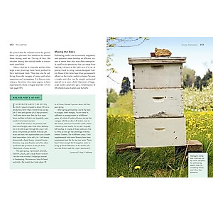 Storey's Guide to Keeping Honey Bees, 2nd Edition: Honey Production, Pollination, Health (Storey’s Guide to Raising)