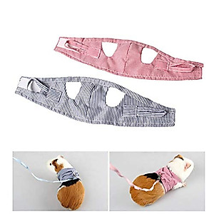 POPETPOP Ferret Harness - Small Animals Outdoor Walking Vest Harness with Lead Leash Set Rabbit Hedgehog Ferret Guinea Pigs Piggies Squirrel Kitten Puppy Comfort Clothes - Blue Small