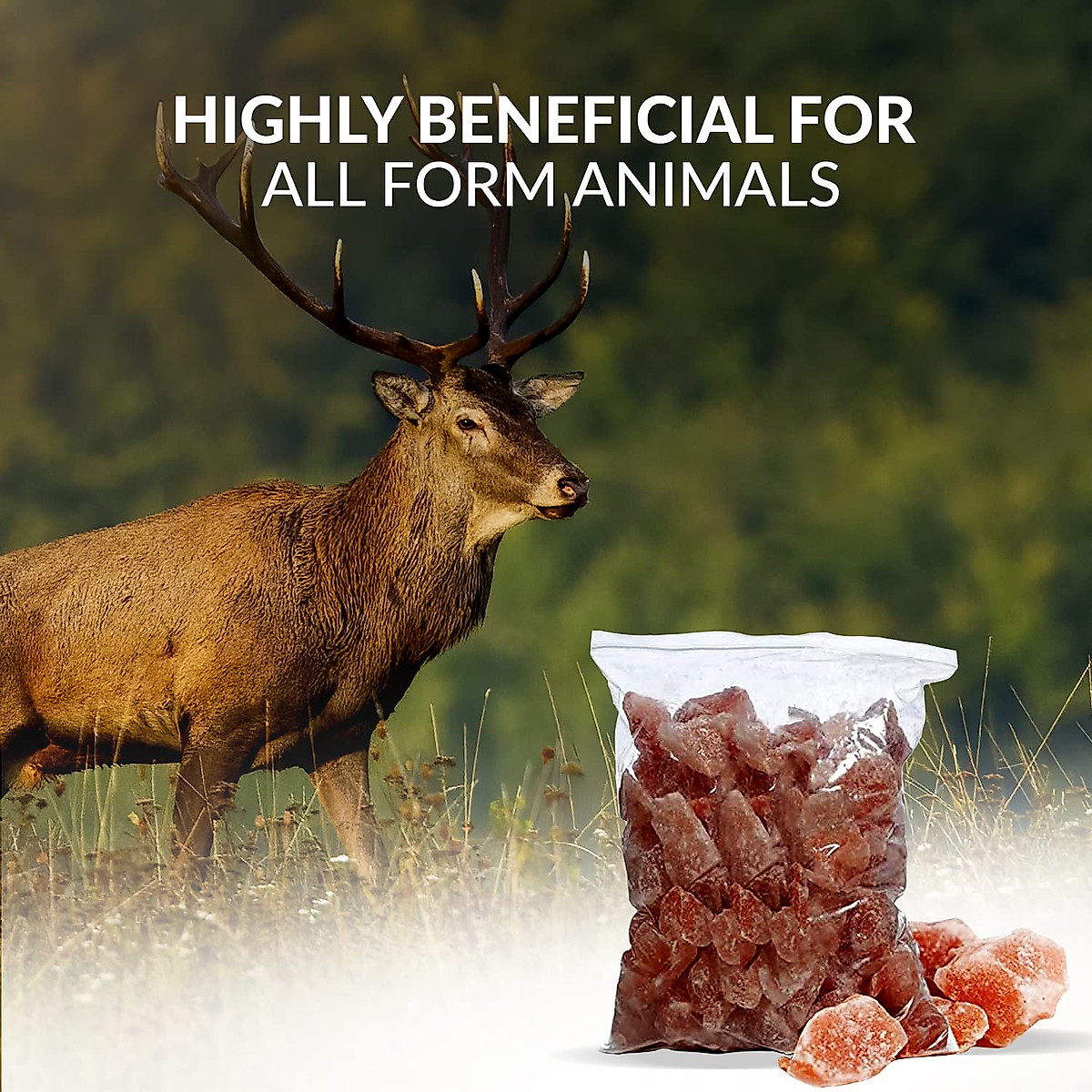 Himalayan Nature 100% Natural Solid Mineral Rock Salt - Salt Mineral Chunks animals