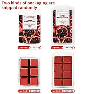 SCENTORINI Scented Wax Melts, Wax Cubes, Scented Soy Wax Melts, 8x2.5 oz, Pumpkin, Apple & Cinnamon, Winter Cedarwood, Mint & White Jasmine, Coconut & Vanilla, Black Pomegranate, Mediterranean Fig