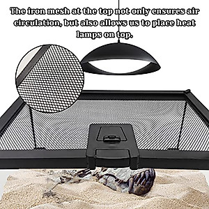 Hamiledyi Mini Reptile Glass Terrarium Tank,8"x8"x6" Hermit Crab Breeding Box Transparent Jumping Spider Enclosure Small Amphibians Habitat Cage for Baby Snake Gecko Lizard Tarantula