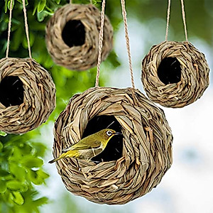 winemana 4 Pack Hanging Hummingbird Nest House for Outside, Ball Shape, Hand Woven, Durable Sturdy, Made of Natural Grass, Perfect for Garden Patio Lawn Office Indoor