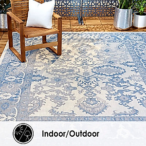 Nicole Miller New York Patio Country Ayana Transitional Border Indoor/Outdoor Area Rug, Grey/Blue, 3'11"x5'2"