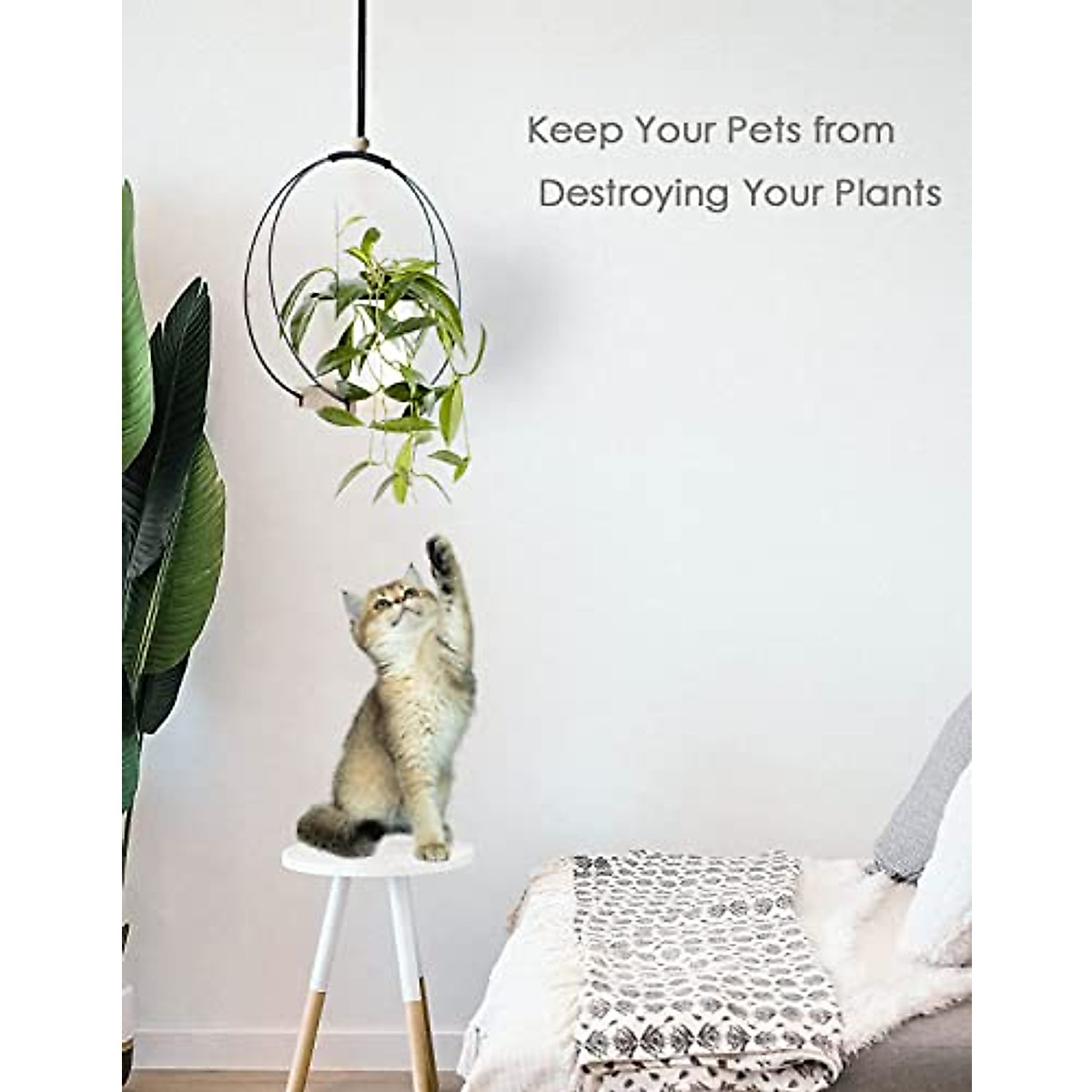 Dravmola Plant Hanger with Wood Base - Boho Macrame Hanging Plant Holder for Indoor Plants Hanging Planter for Wall/Window/Room Decor Black (Pot & Plant Not Included)