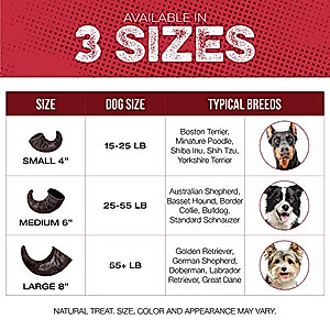 Water Buffalo Horn Dog Chew 4 Pack - Small 4" - All Natural Free Range Grass Fed Single Source Protein - No Chemicals, Additives, Hormones - Long Lasting, Good for Aggressive Chewers