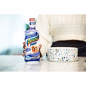 Dental Fresh Advanced Plaque and Tartar Water Additive, 17oz – Dog Teeth Cleaning Formula to Freshen Breath and Improve Overall Oral Health