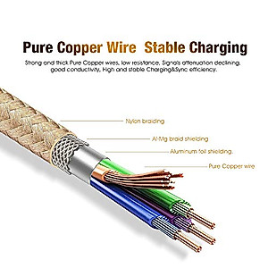 CBUS 6ft Heavy-Duty Braided Fast Charging Cable USB-C to USB-A Compatible with iPad Air, iPad Pro (2022/2021/2020), Samsung Galaxy Tab S8/S8+, S7 FE, S7/S7+, S6/S6 Lite (Beige Gold)