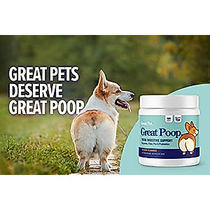 Great Poop Probiotics for Dogs - A Fiber for Dogs Supplement with Dog Probiotics and Digestive Enzymes for a Healthy Gut, Firm Stool & Diarrhea Relief - Chicken Flavored Pet Soft Chews with Prebiotics