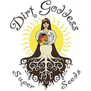 Bulk Organic Sweet Corn Seeds (1 LB) 3,000 Seeds