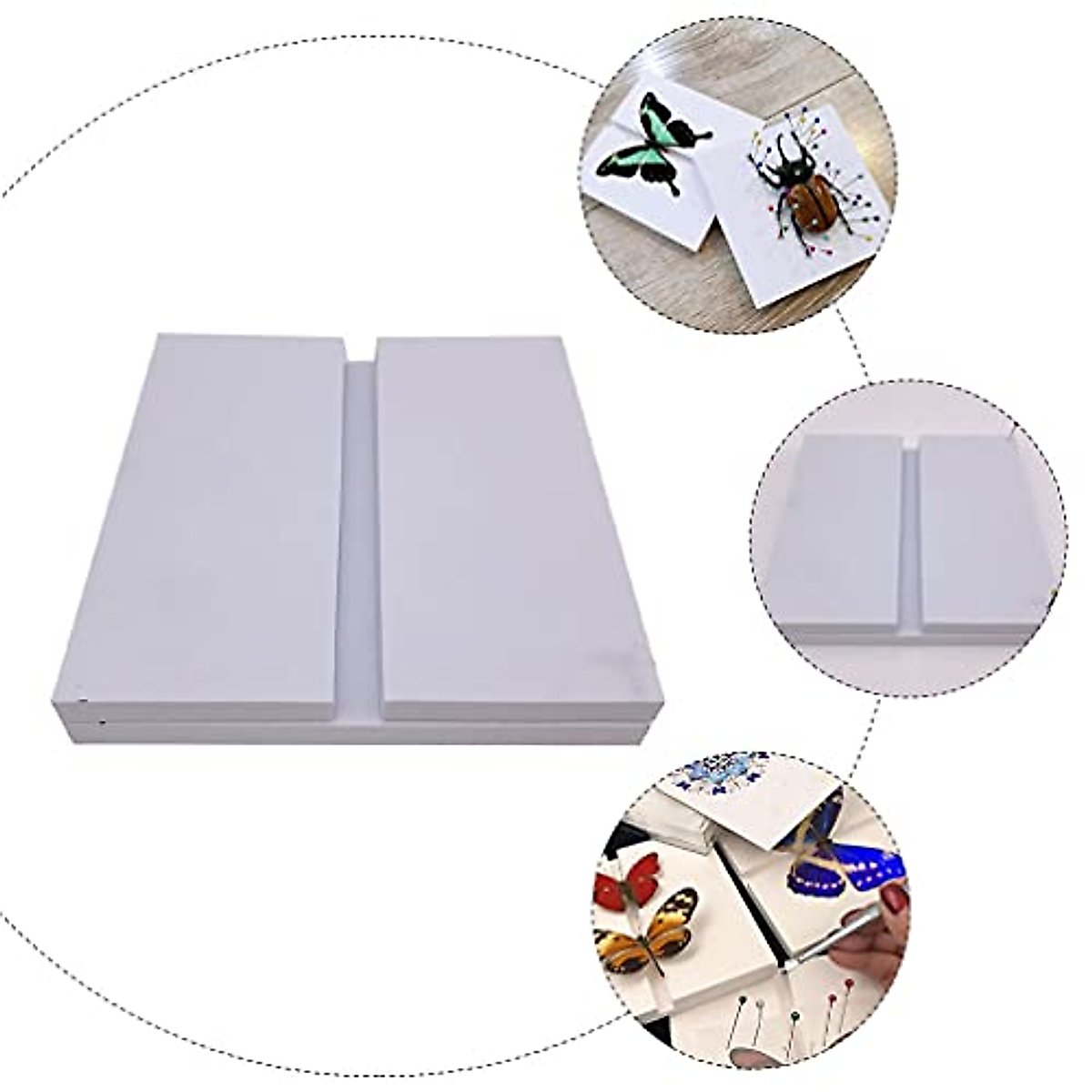 Specimen Spreading Board Pinning Board: Butterfly Spreading Wings Board Experiment Tool Butterflies Specimen Display Board Specimen Tools for Collection- 1 Pc Wings Spreading Board