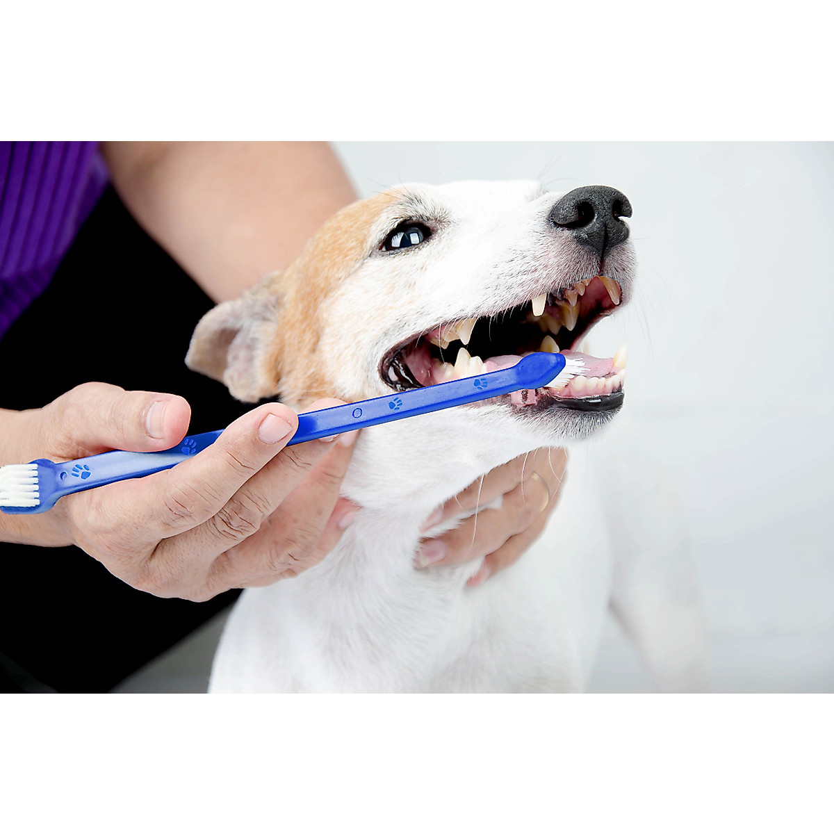 Dog Toothbrush Set