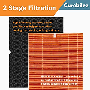 116131 True HEPA Replacement Filter I Compatible with Winix C555 Air Cleaner Purifier, H13 Grade True HEPA Filter, Compares to Winix 116131 Filter I (2 Set)