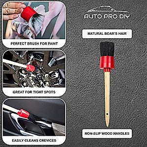 AUTO PRO DIY 11 Piece Car Detailing Kit Set - Car Wheels, Exterior, Interior Cleaning Detail Supplies - Boars Hair, Stainless Steel Wire, Duster Brushes, APD-101