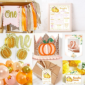 Little Pumpkin 1st Birthday Decorations, Pumpkin First Birthday Decorations Supplies for Autumn Fall 1st Birthday Party, Halloween Thanksgiving 1st Birthday, Our Little Pumpkin is Turning One