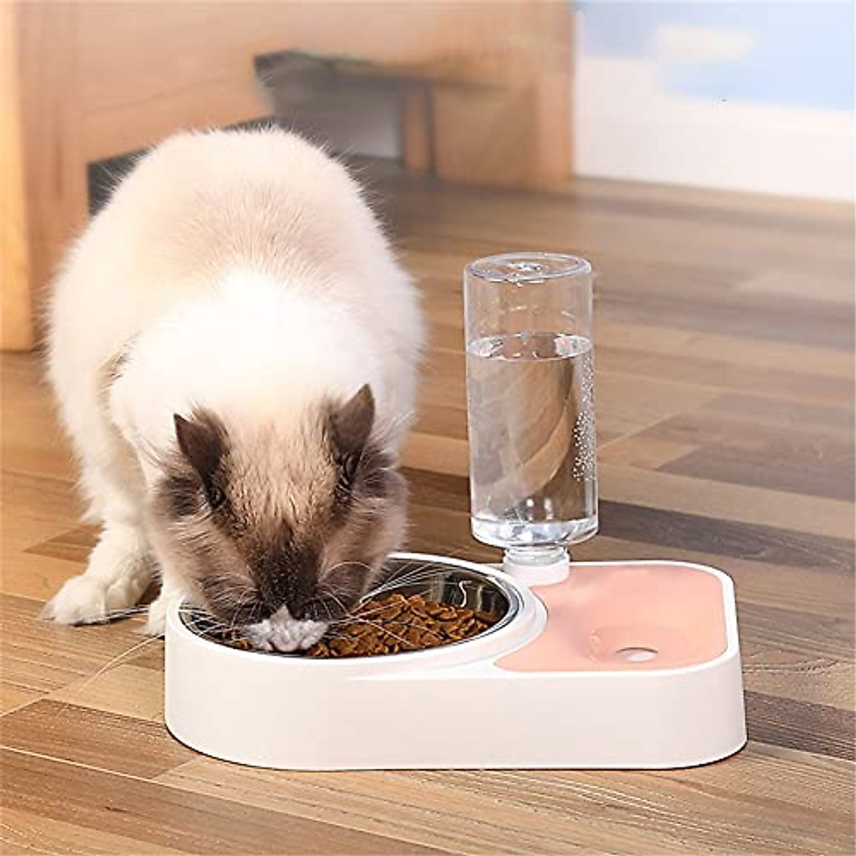 ZLXDP Double Pet Bowls Dog Food Water Feeder Pet Drinking Dish Feeder Cats Puppy Feeding Supplies Small Dog Accessories Stainless Steel (Color : Blue)