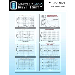 Mighty Max Battery 12V 18AH SLA Internal Thread Replacement Battery for ES1230