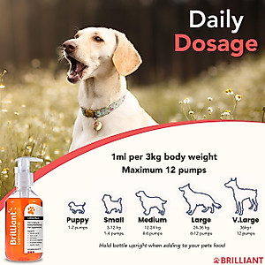 Brilliant Salmon Oil for Dogs, Cats & Puppies | Omega 3 Fish Oil Liquid Supplement with DHA, EPA Fatty Acids | Supports Skin and Coat, Immune System & Joint Function | Hofseth BioCare (34oz)