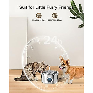 PEKTACO Cat Water Fountain, Pet Water Fountain for Cats/Dogs Inside, Stainless Steel Cat Drinking Fountains with Water Level Window(3.2L/108oz)