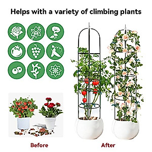 Heyfurni Metal Obelisk Trellis & Plant Clips,Garden Trellis for Climbing Plants,Plant Support for Cucumbers,Rose,Tomato,Vines,Vegetables Trellis Cage Indoor & Outdoor,40pcs Garden Clips