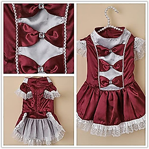 SHIAOMIN Maid Dress Dog Dresses Cute Doggie Clothes Summer Puppy Skirts Kitten Outfits Apparel Walking Dress Suitable for Pet in Parties, Important Occasions (Large, Red)