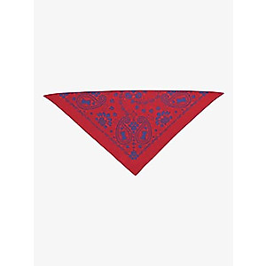 Insect Repellant Dog Bandana for Protecting Dogs from Fleas, Ticks, and Mosquitoes, Paisley, Red