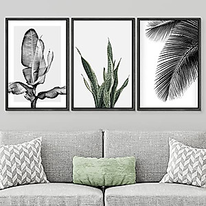 SIGNWIN Framed Canvas Print Wall Art Trio of Jungle Palms & Snake Succulents Floral Plants Photography Modern Art Minimalist Black and White for Living Room, Bedroom, Office - 16"x24"x3 Black