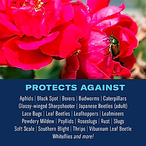 BIOADVANCED 043929293566 Bayer Advanced 701110A All in One Rose and Flower Care Granules, 4-Pou, 4-Pound, Assorted