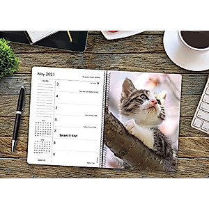 What Cats Teach Us 2021 Engagement Calendar
