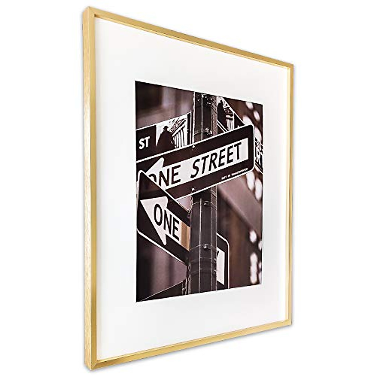 TheDisplayGuys - Contemporary Aluminum Picture Frame - Tempered Glass - 20x24 matted to 16x20 - Gold - Wall Hanging