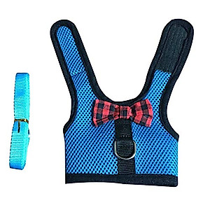 sonicbee Multipurpose Rabbits Hamster Vest Harness with Leash Bunny Mesh Chest Strap Harnesses Ferret Guinea Pig Small Animals Pet Accessories (L, Blue)