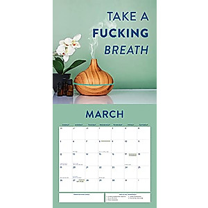 2023 Chill the F*ck Out Wall Calendar: Find Calm and Get a Fresh F*cking Start This Year (Funny 12-Month Calendar, White Elephant Gag Gift for Adults)