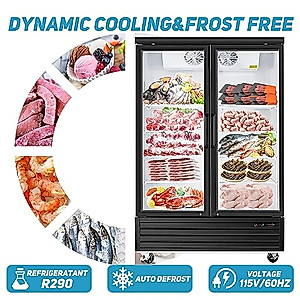 BLUELINETECH Commercial Display Freezer 35 Cu.ft, Double Swing Glass Door Reach in Fridge with 8 Shelves LED Lightning, 56.4" W, -8℉-0℉