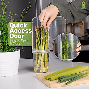 The Herb Angel Mason Jar Herb Lid - Fresh Herb Keeper - Herb Saver Pod for Cilantro, Parsley, Basil, Chives, Mint and More - Herb Storage Container for Refrigerator