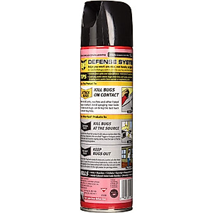 Raid Ant and Roach Killer 17.5 Ounce (Pack of 4)