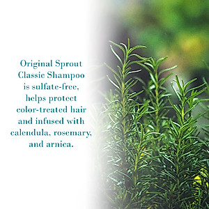 Original Sprout Classic Shampoo for All Hair Types, Sulfate Free and Vegan Shampoo, 12 oz. Bottle