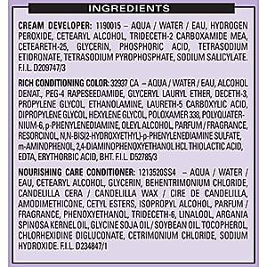 SoftSheen-Carson Dark and Lovely Fade Resist Rich Conditioning Hair Color, Permanent Hair Color, Up To 100 percent Gray Coverage, Brilliant Shine with Argan Oil and Vitamin E, Jet Black