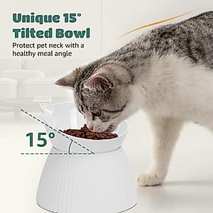 Nobleza 3-in-1 Slow Pet Feeder Bowl Bottle Set, Automatic Pet Dispenser Treat Food & Water Bowl with 15° No Spill Tilted Raised Bowl for Cat Dog Small Medium Pet Kitten Puppy Bunny Healthy Food Water