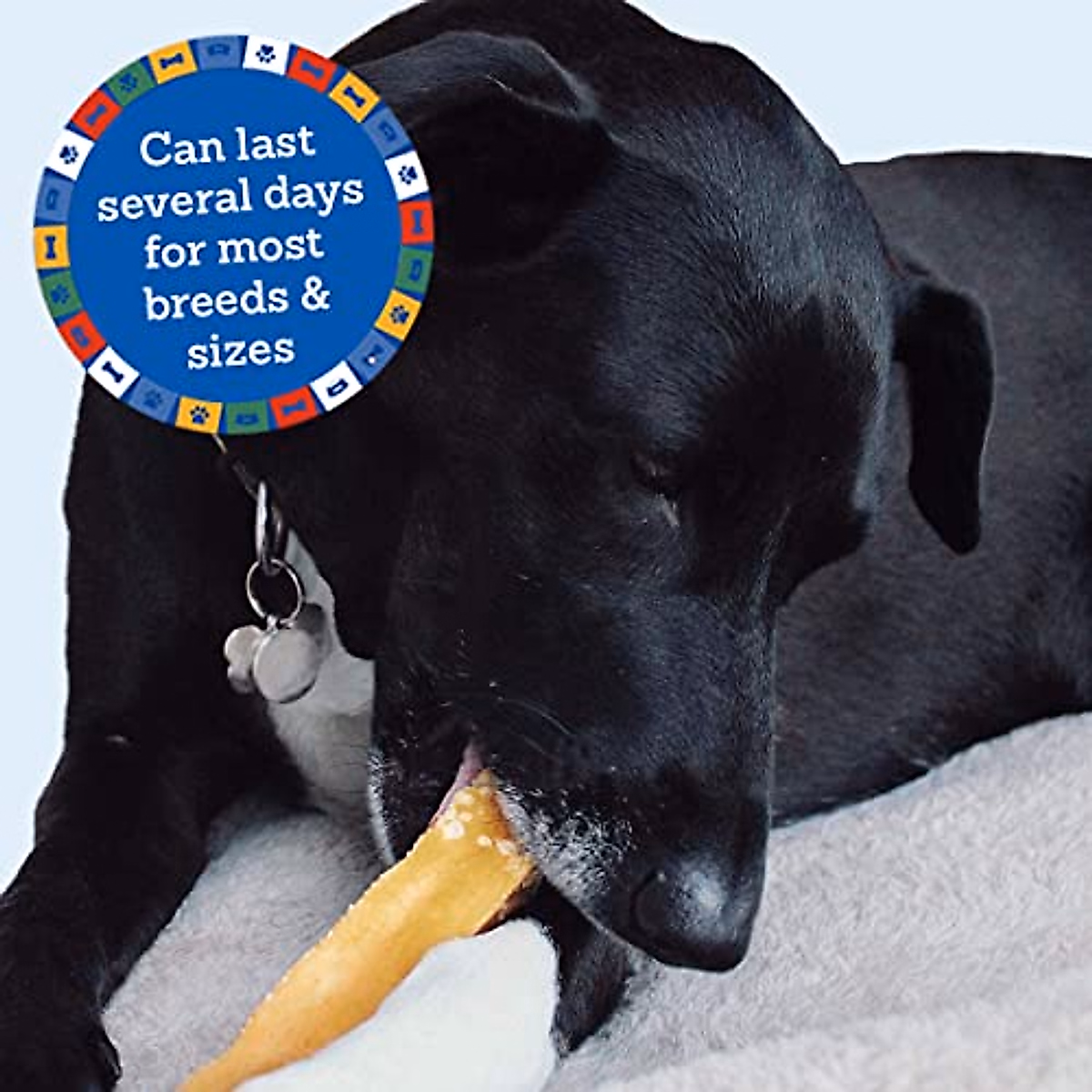 Doggo Dog Chew - Premium Yak Cheese Himalayan Dog Chews - Natural Yak Chews for Large and Small Dogs - Yak Milk Dog Chew - Long-Lasting Treats Aggressive Chewers - X-Large, 2 Pounds (6 Pieces)