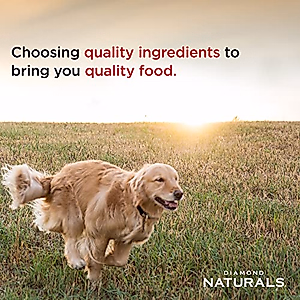 Diamond Naturals Lamb Dinner Can Dog 12/13.2oz