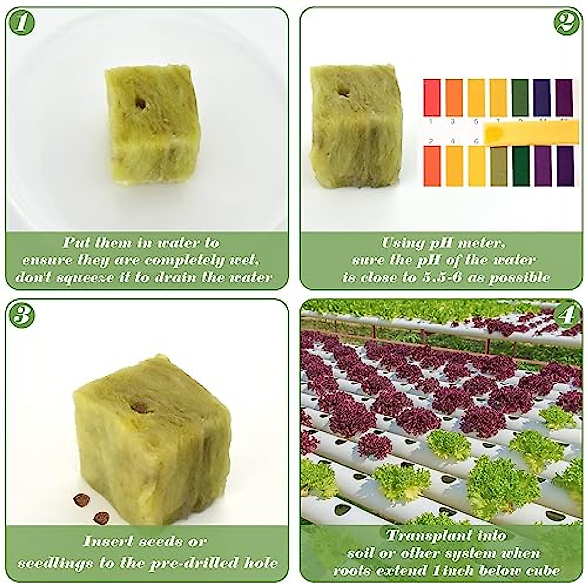 Halatool 1.2 inch Rockwool Cubes Garden Stonewool Grow Cubes Starter Plugs for Hydroponics Soilless Cultivation Seedlings Cuttings Clone Plants (4 Sheets, 144 Plugs in Total)