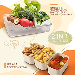 Farest Divided Veggie Tray with Lid and Handle,Portable 8 Compartment Serving Tray with Dividers,Snack Containers,Snack Box for Food,Veggie, Condiments,Candy,Nuts,Picnic,Parties,2 Pack