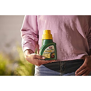 Ortho Tree & Shrub Fruit Tree Spray, 16-Ounce