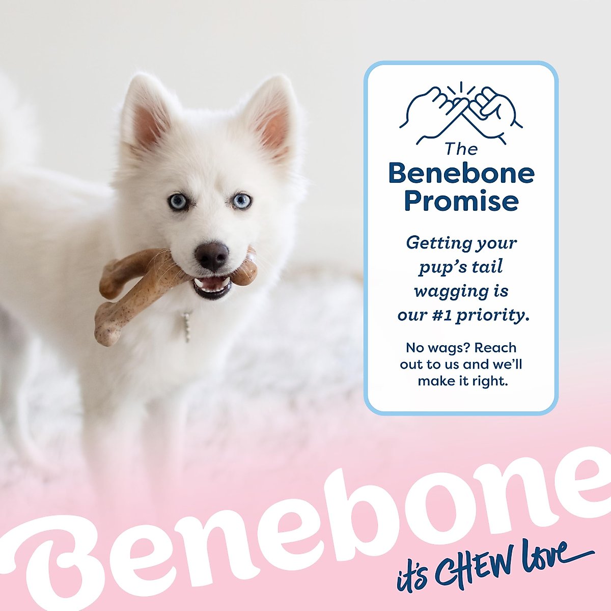 Benebone Puppy Wishbone Durable Dog Chew Toy for Gentle Chewers, Real Bacon, Made in USA, Medium