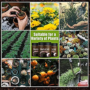 XIRUJNFD Soil Activated Treasure-You Will Be Amazed! Indoor Plant Fertilizer, Soil Activated Treasure, Fertilizer for Plants Flower Lawn, Improve Plant Growth (100g,1Pcs)