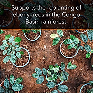 Stella Falone Reversible Wood Cutting Board Made of Solid West African Crelicam Ebony Wood – 11.4'' x 11.4'' x 1.6'', Heavy-Duty, Premium Serving Board w/Carved Grip Edge – Includes Conditioning Oil